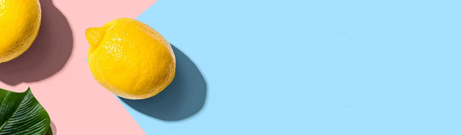 Character Kit - Zoku - ZOKU