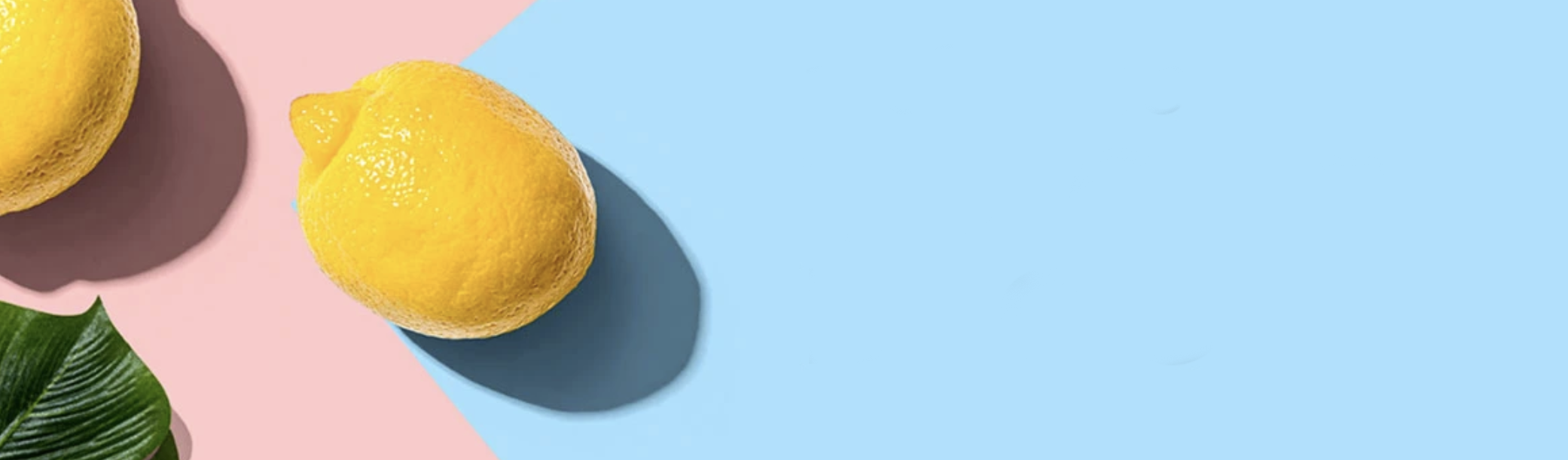 Character Kit - Zoku - ZOKU